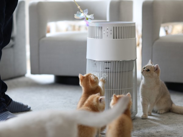 StreetInsider.com - Wisesky W-Cat Air Purifier Launches in the Market ...