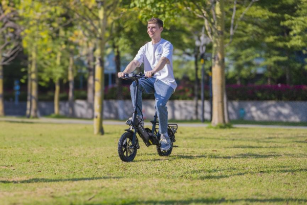DYU C3 14 Inch Folding Ebike: A Convenient and Affordable Urban ...
