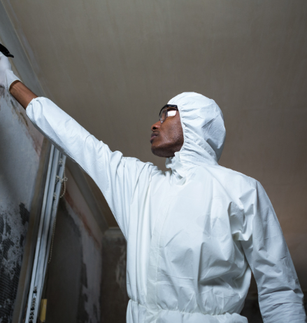 Discover Prohumidite’s Expert Moisture Diagnosis Services ...