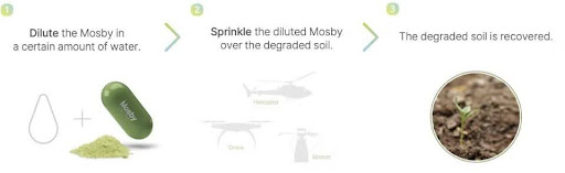 Restoring Degraded Land Through Moss: Code of Nature, CO., Ltd ...