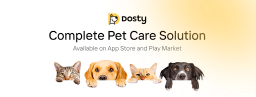 Dosty Introduces a New Virtual Pet Companion That Simplifies the Pet ...