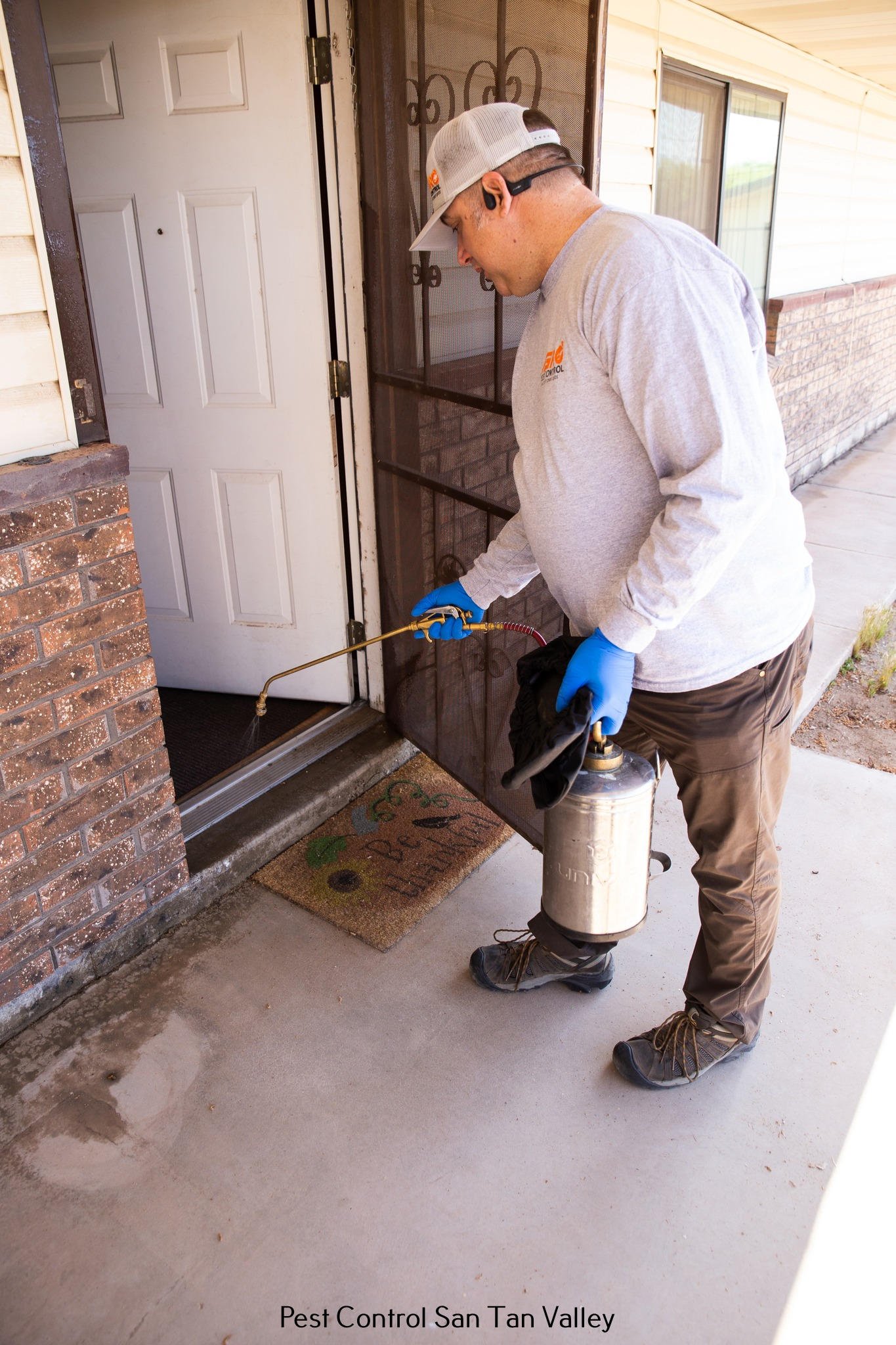 Effective and Extensive Pest Removal Techniques for Residential and ...