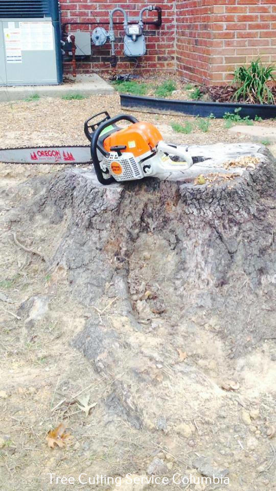 Quality First Tree Service Highlights Specialized Equipment for ...